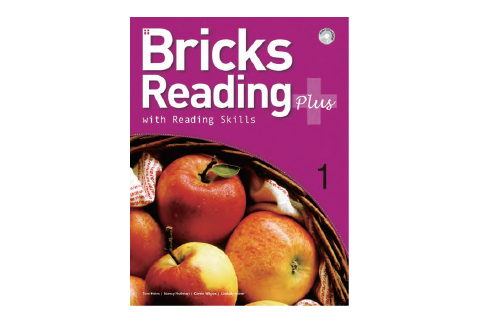 Bricks Reading Plus